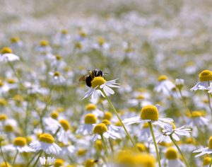 About mobisys – Mobile SAP Logistics