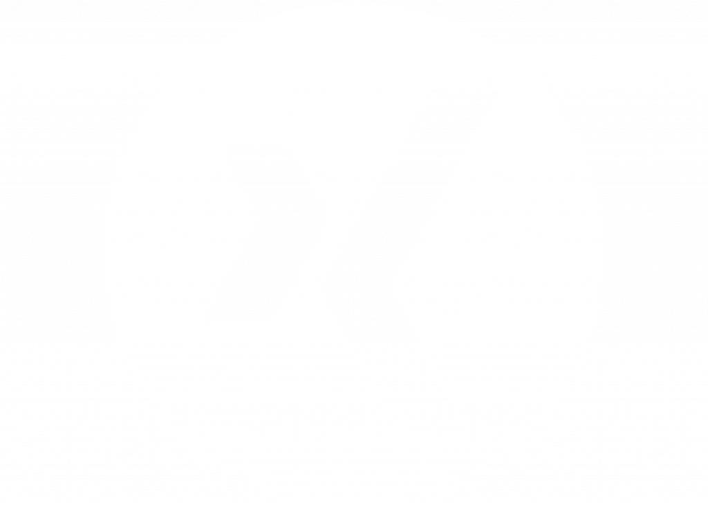 Mobile SAP-Prozesse in der Logistik - mobisys GmbH